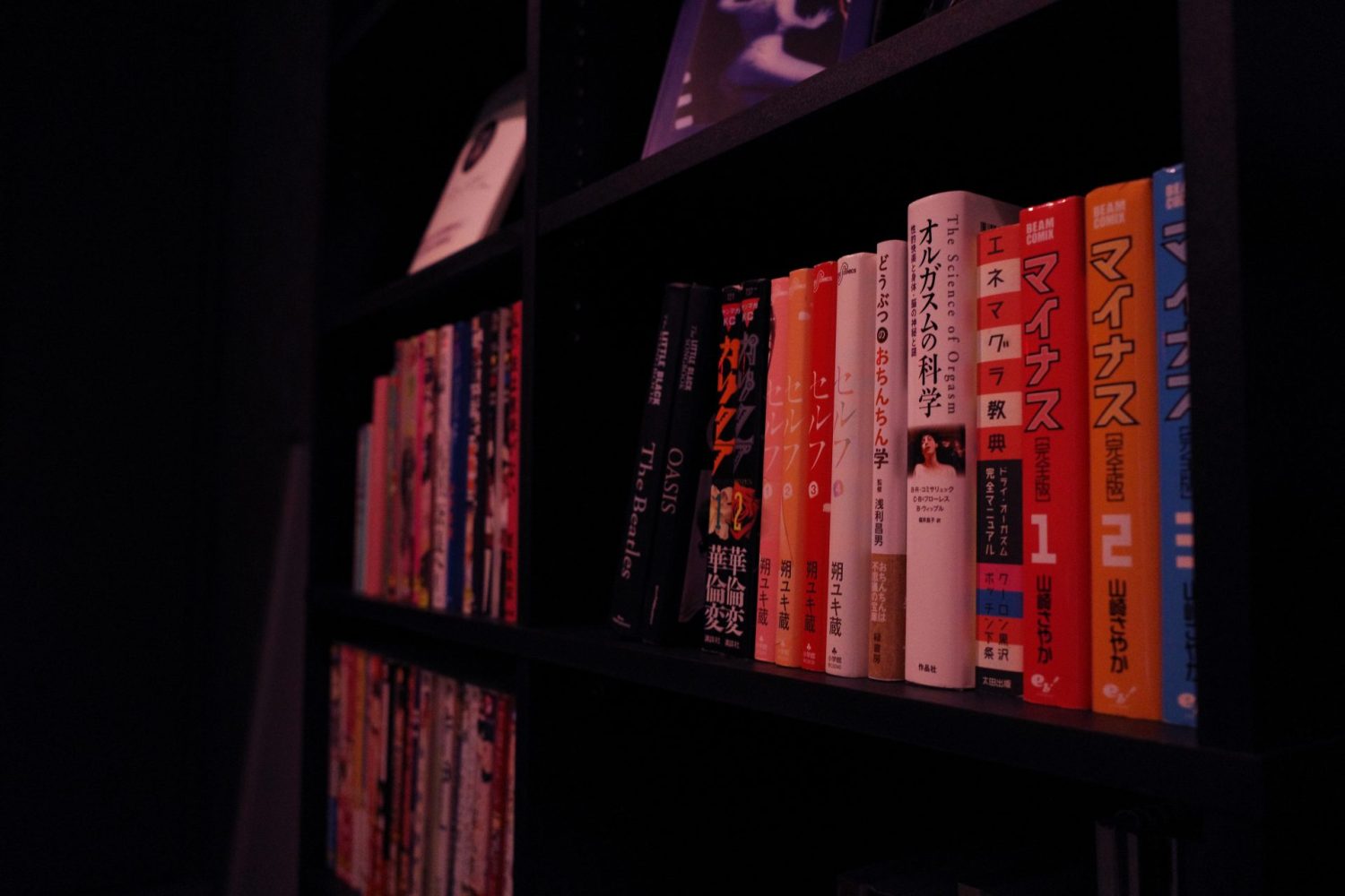 Bar ‖ OUTER HAVEN - どんな“好き”でも語れるコミュニケーションバー